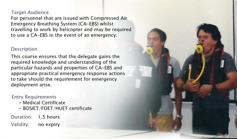 Consolidated Training Systems Incorporated